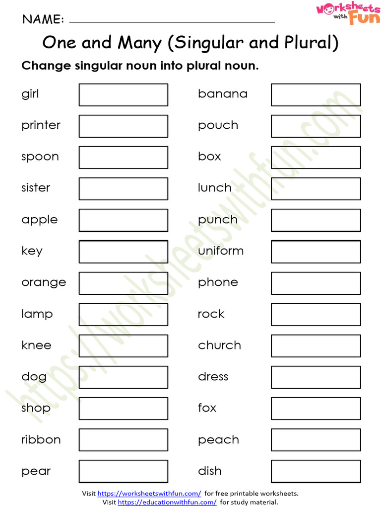 Singular and Plural Worksheet | PDF
