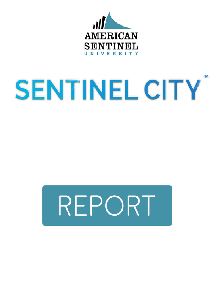 Sentinel_Report 2 | PDF