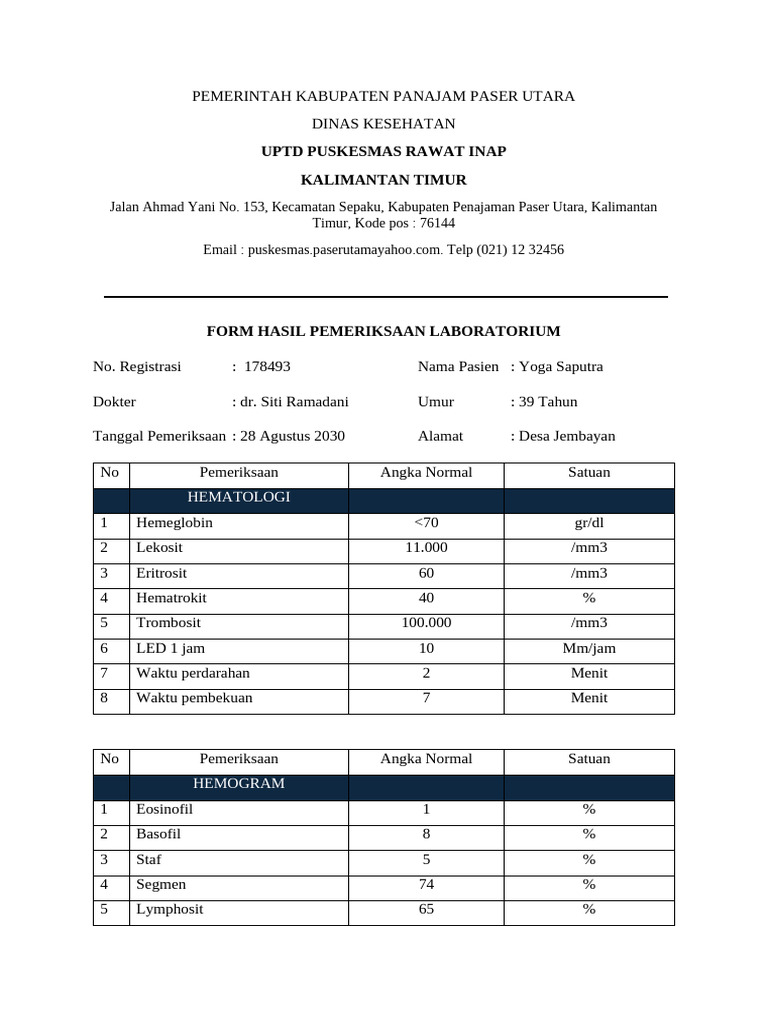 Hasil Tes Darah | PDF