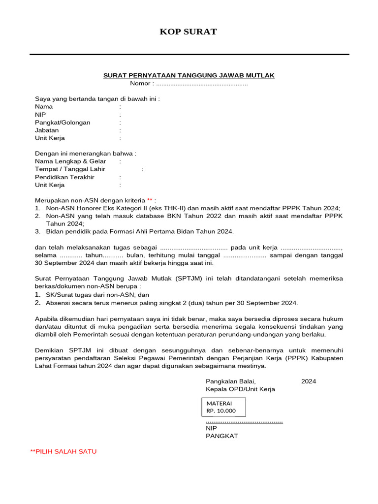 Format SPTJM Untuk Pendaftaran PPPK Kab. Banyuasin 2024 | PDF