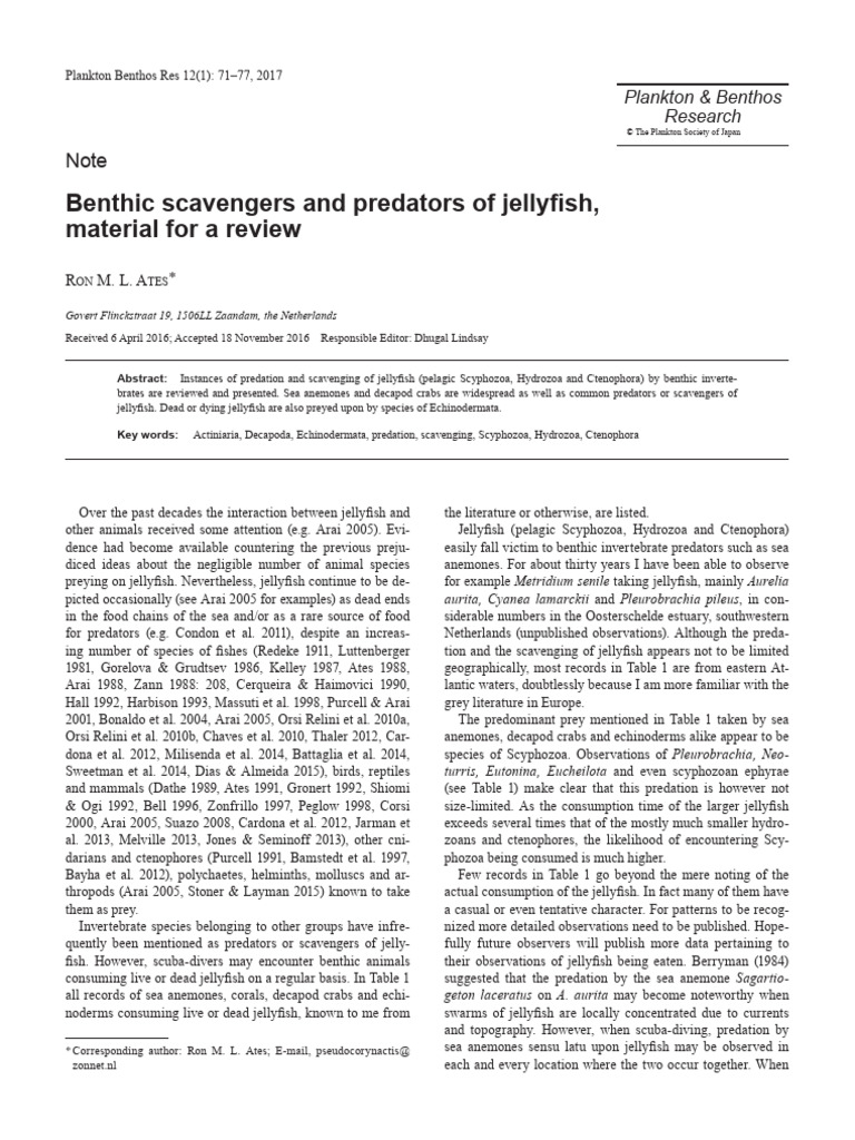 Benthic Scavengers and Predators of Jellyfish,: Material For A Review | PDF