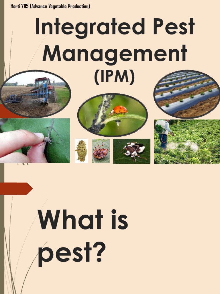 Integrated Pest Management For Insect Weeds Disease and Vertebrates 1 | PDF