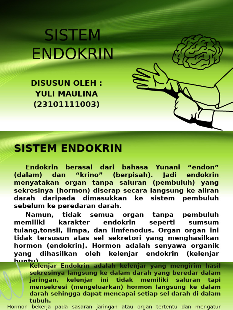 Sistem Endokrin Yuli Maulina (23101111003) | PDF