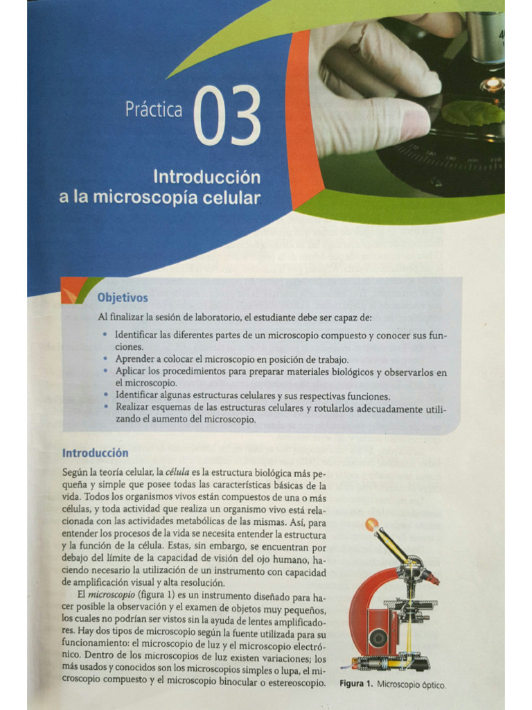 Lab 3 Micros | PDF