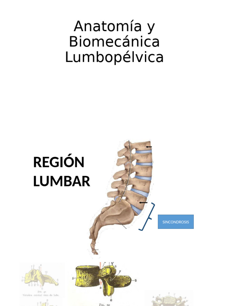 Region Lumbar Hoy | PDF