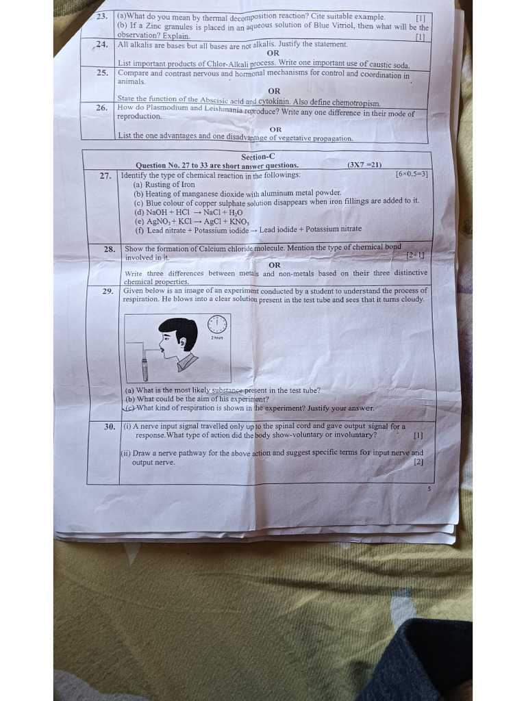 1 Marks Question For Science | PDF