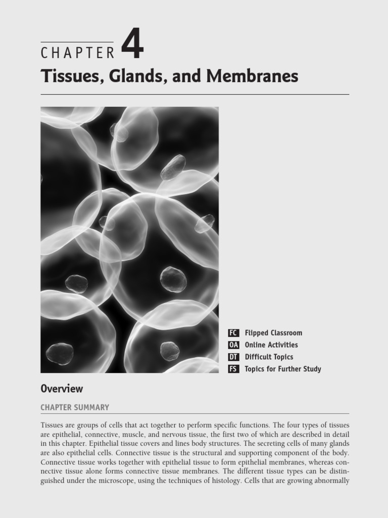 Cohen IM Chap04 | PDF