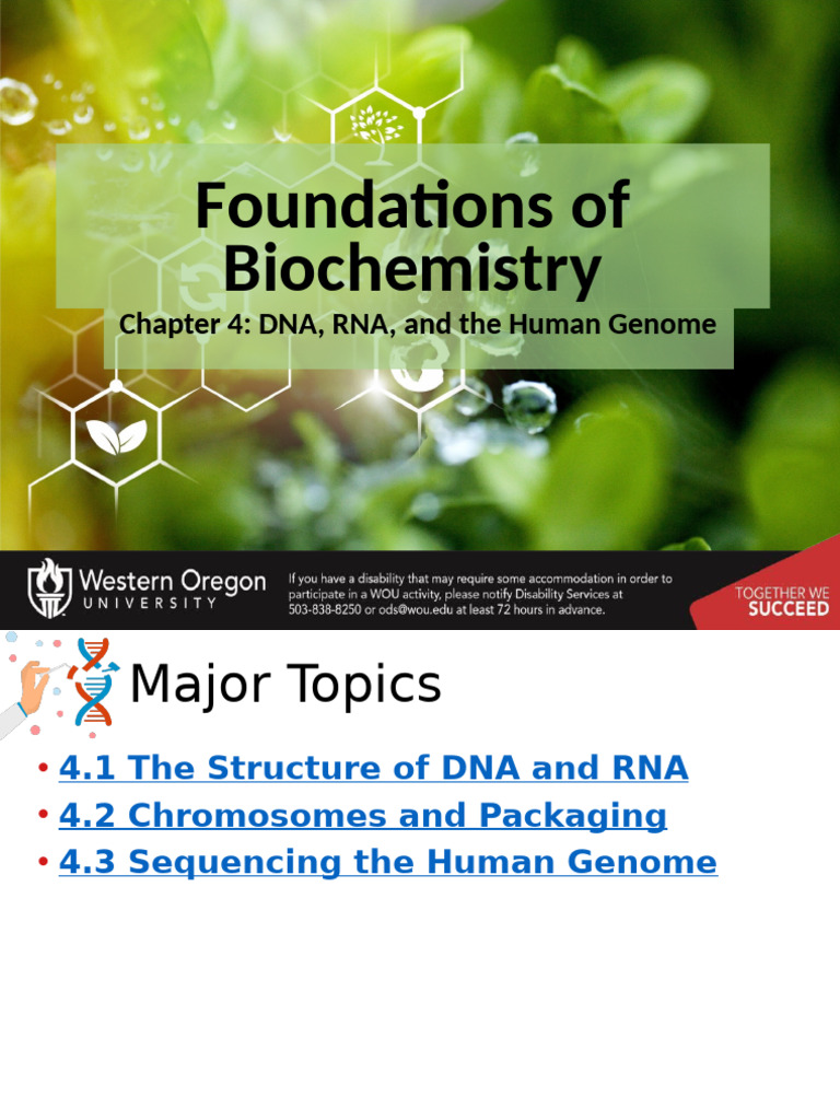 Chapter-4-Slides (1) | PDF