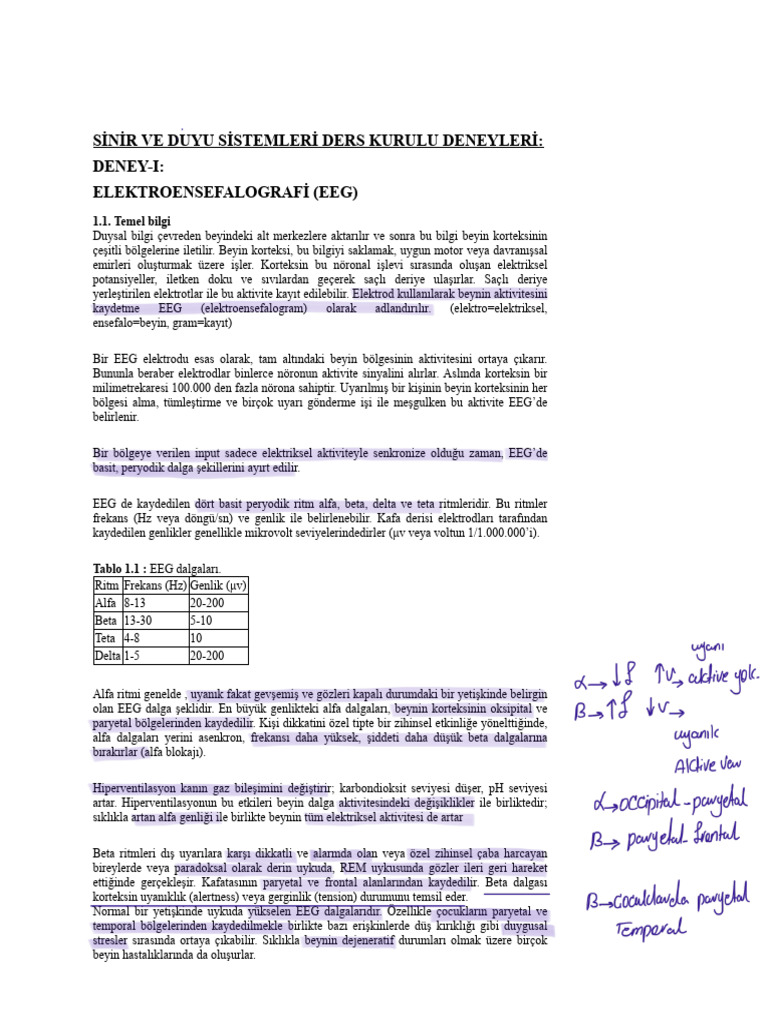İNİ İ İ N İ N N İ: S Rveduyus Stemler Ders Kurulu de Eyler: DE EY-I: Elektroe Sefalograf (EEG) | PDF