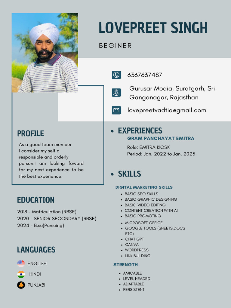 Lovepreet Singh: Profile Experiences | PDF