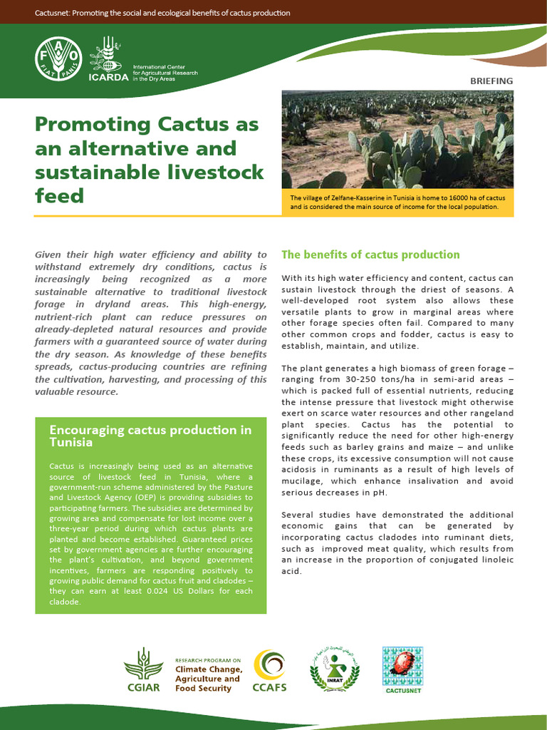 Cactus For Livestock Fact WEB | PDF