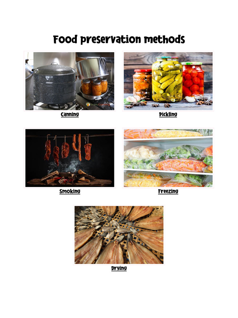 Food Preservation Methods Guide | PDF