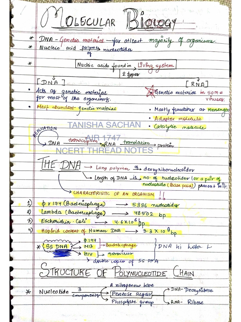 Molecular Basis of Inheritance Ncert Thread Notes | PDF