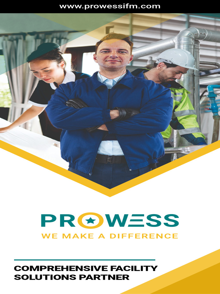 Prowess Company Profile | PDF