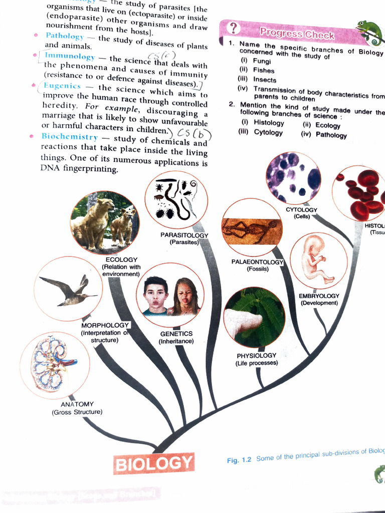 Concise Biology Class 9 Icse Page 2 | PDF