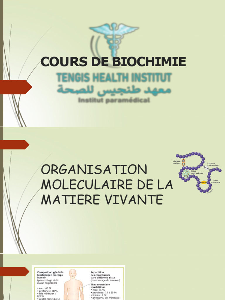 Biochimie Structurale - Glucides Et Lipides | PDF
