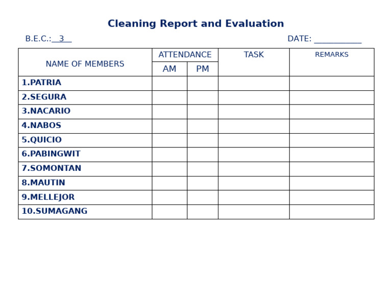 Cleaning Report and Evaluation | PDF