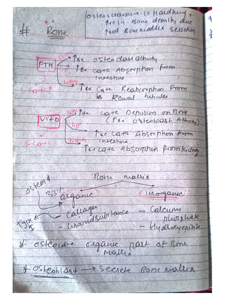 Bone and Joints Patho | PDF