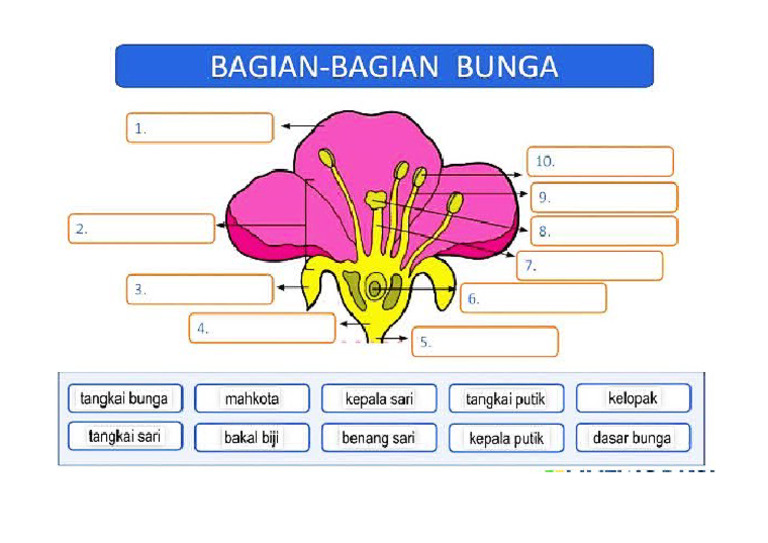 G4 Ipas Bag Bunga | PDF