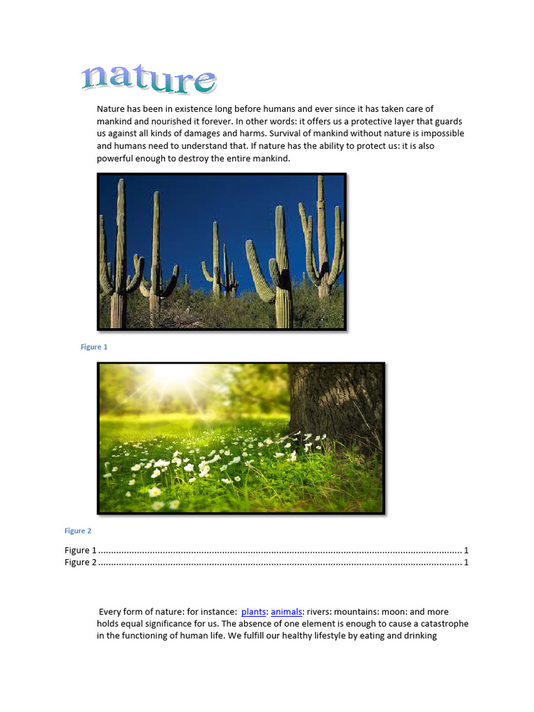 Ms Word - Phase 2.assingment 1 | PDF