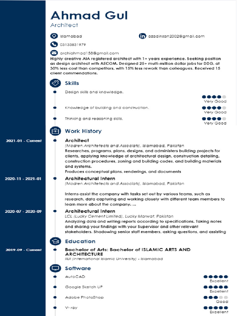 CV Templeat | PDF