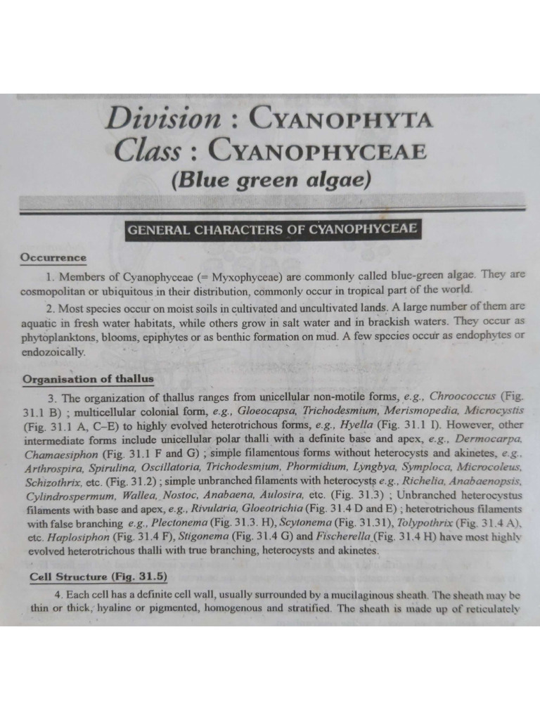 Cyanophyta - General Characteristics | PDF