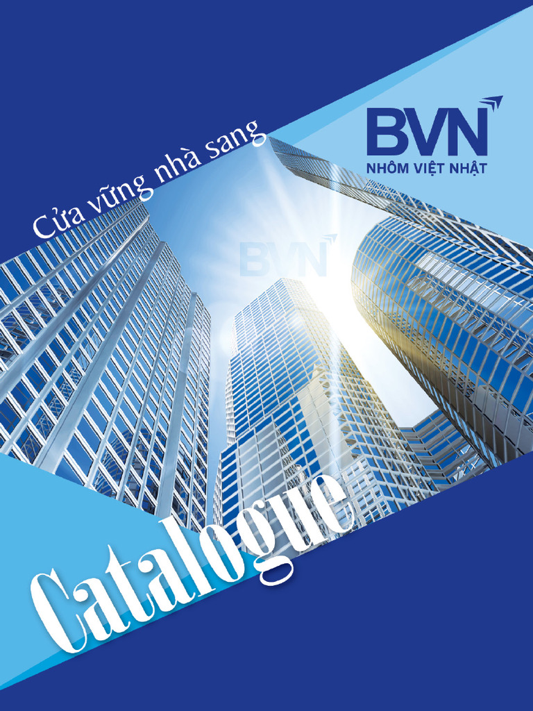 BVN Nhôm Việt Nhật 2019 | PDF