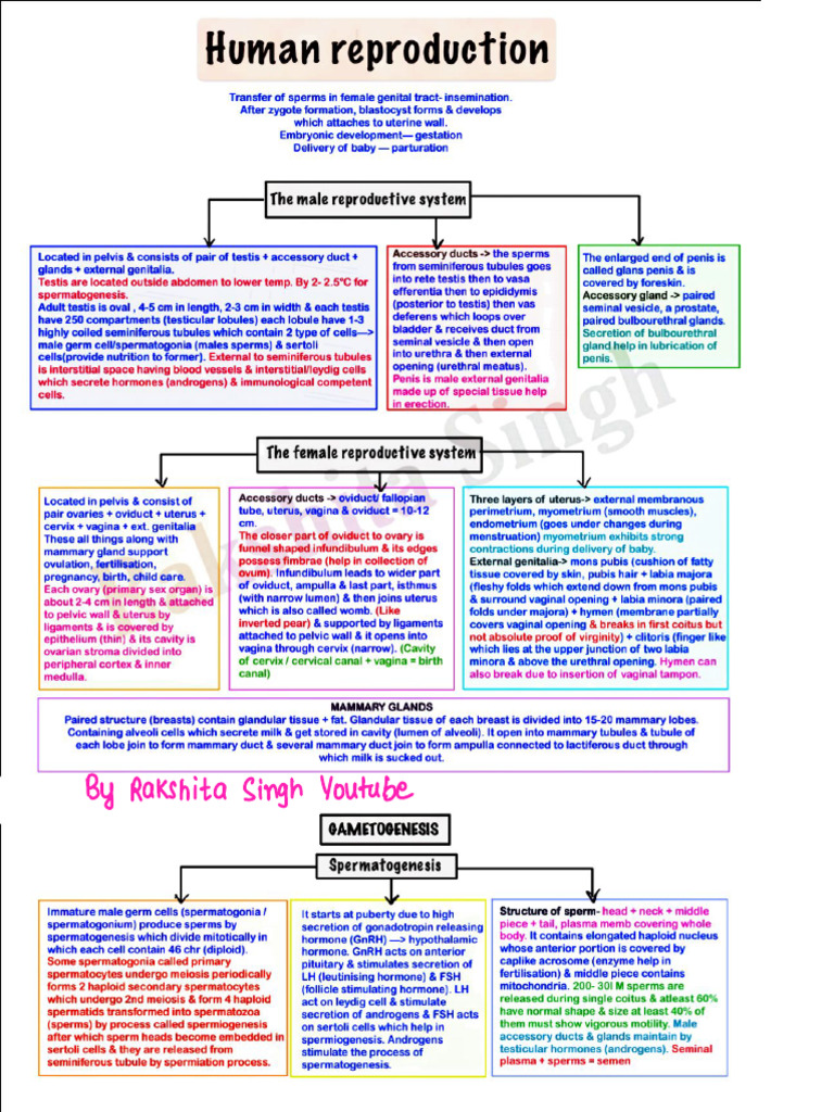 HUMAN REPRODUCTION | PDF