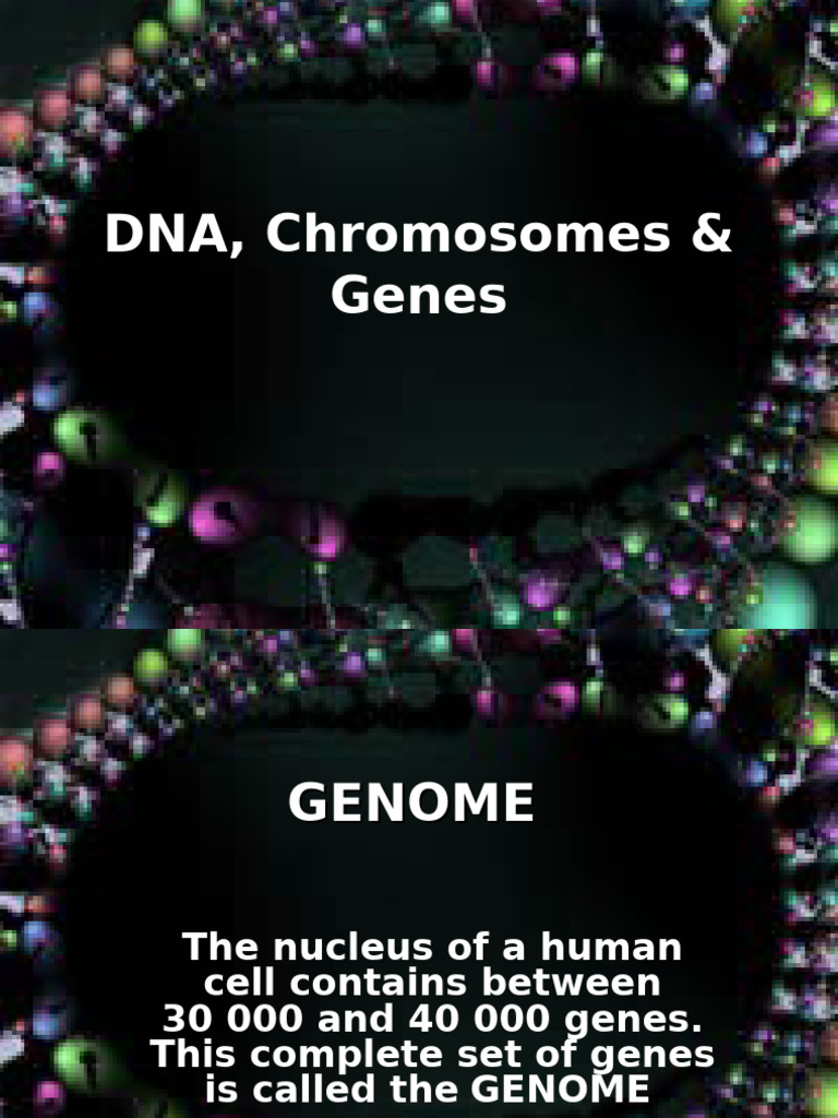 DNA, Chromosomes & Genes | PDF