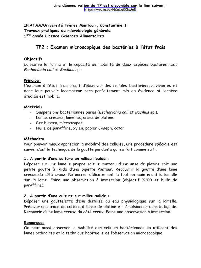 TP2 Microbiologie Générale | PDF
