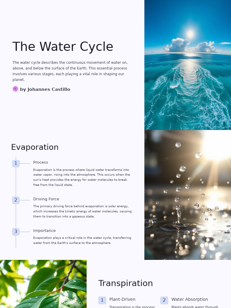 The Water Cycle 1 | PDF