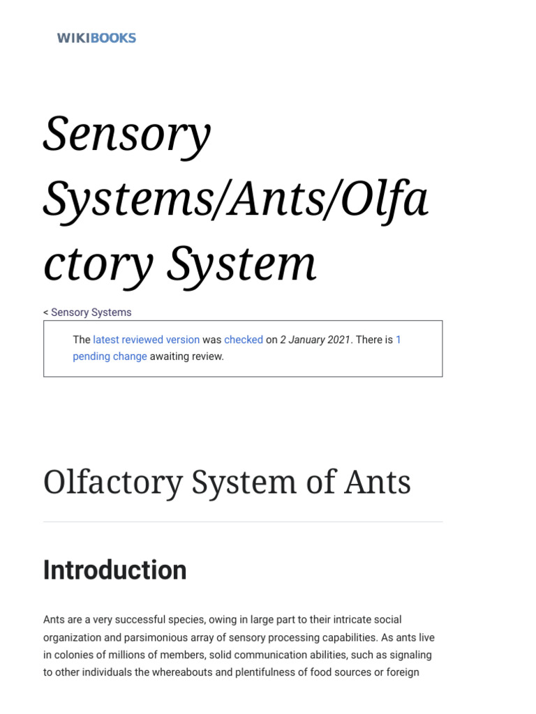 Sensory Systems_Ants_Olfactory System - Wikibooks, open books for an ...