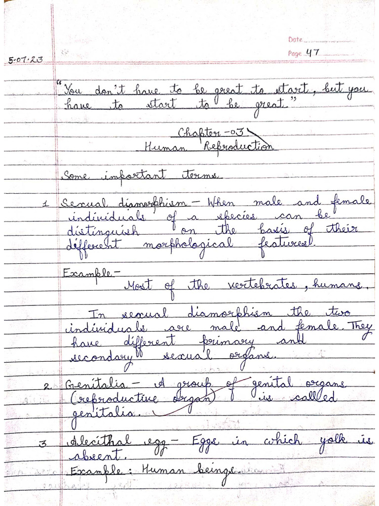 Human Reproduction Notes-1 | PDF