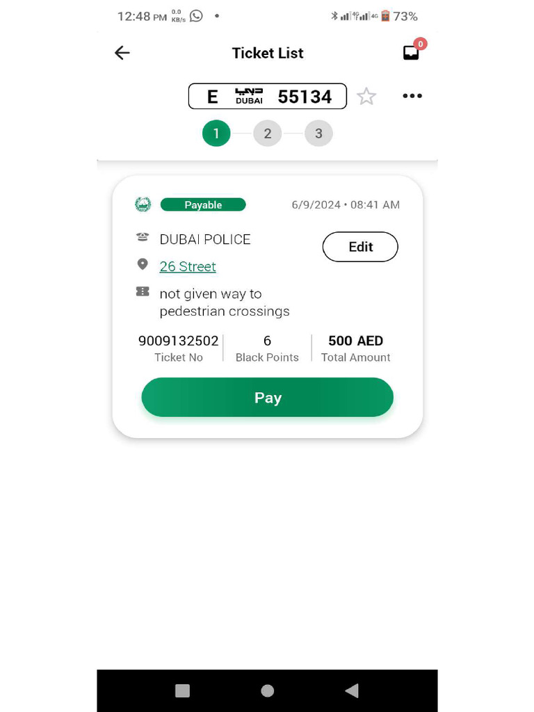 Traffic Violation | PDF