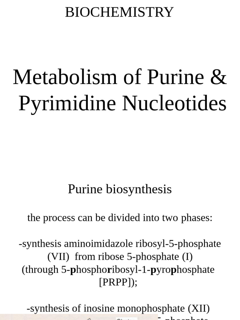 Metabolism of Purine & Pyrimidine Nucleotides | PDF