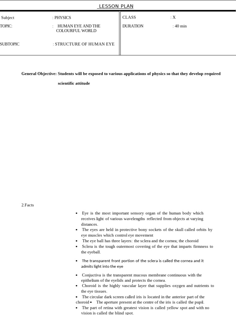Lesson Plan Human Eye Class X | PDF
