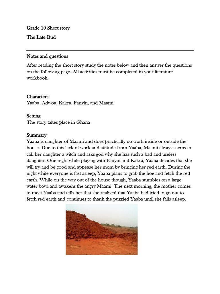 The Late Bud With Notes and Questions | PDF