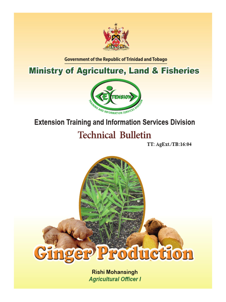Ginger Production Compressed | PDF