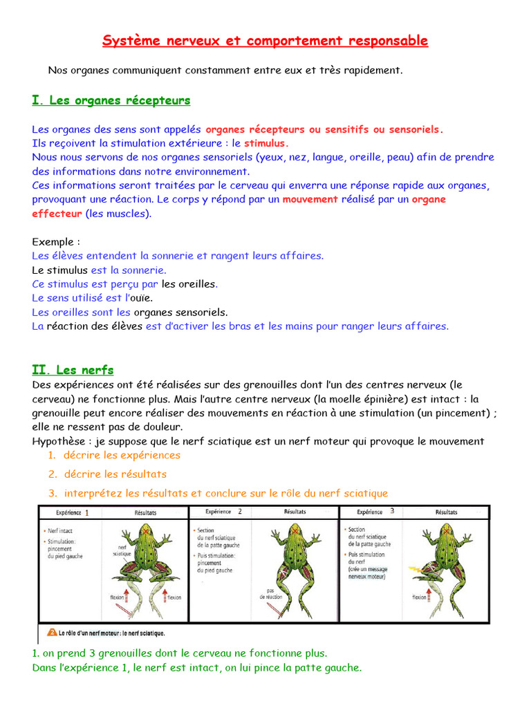 Systeme Nerveux Cahier Texte | PDF