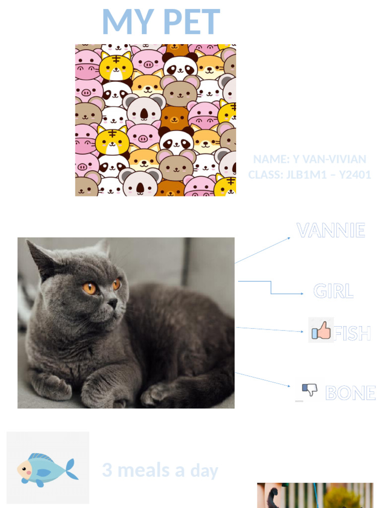 Thien y Van-My Pet 2 | PDF