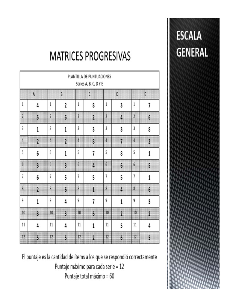 08 Raven General - Tablas de Calificación | PDF