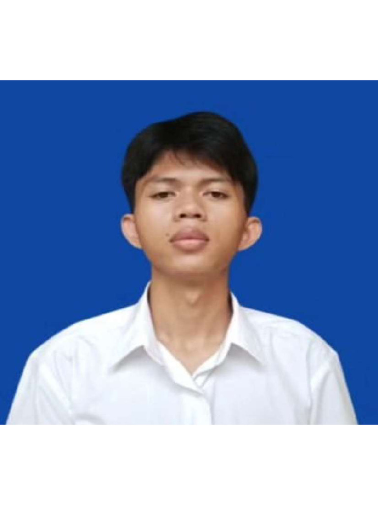 CV Muhammad Hamdani KAO | PDF