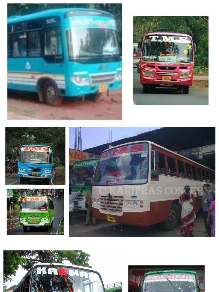 Bus Colour | PDF