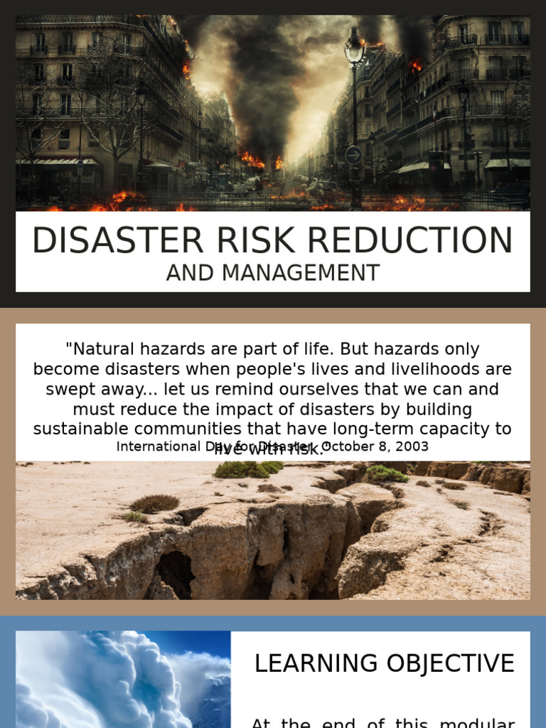 Disaster Risk | PDF