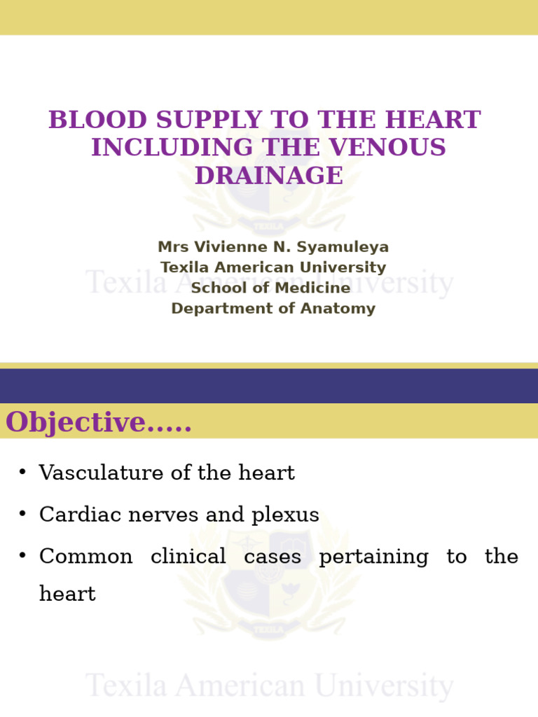 The Blood Supply To The Heart Including The Venous and Cardiac Plexus | PDF