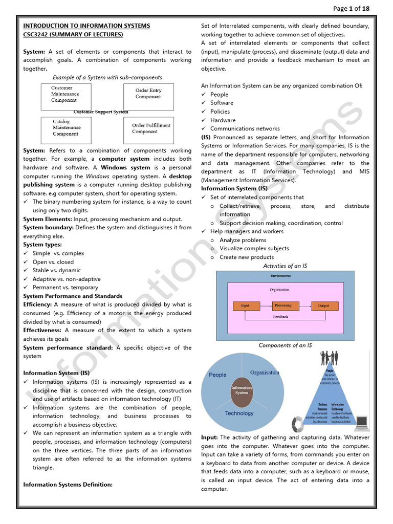 Summary of Information Systems | PDF