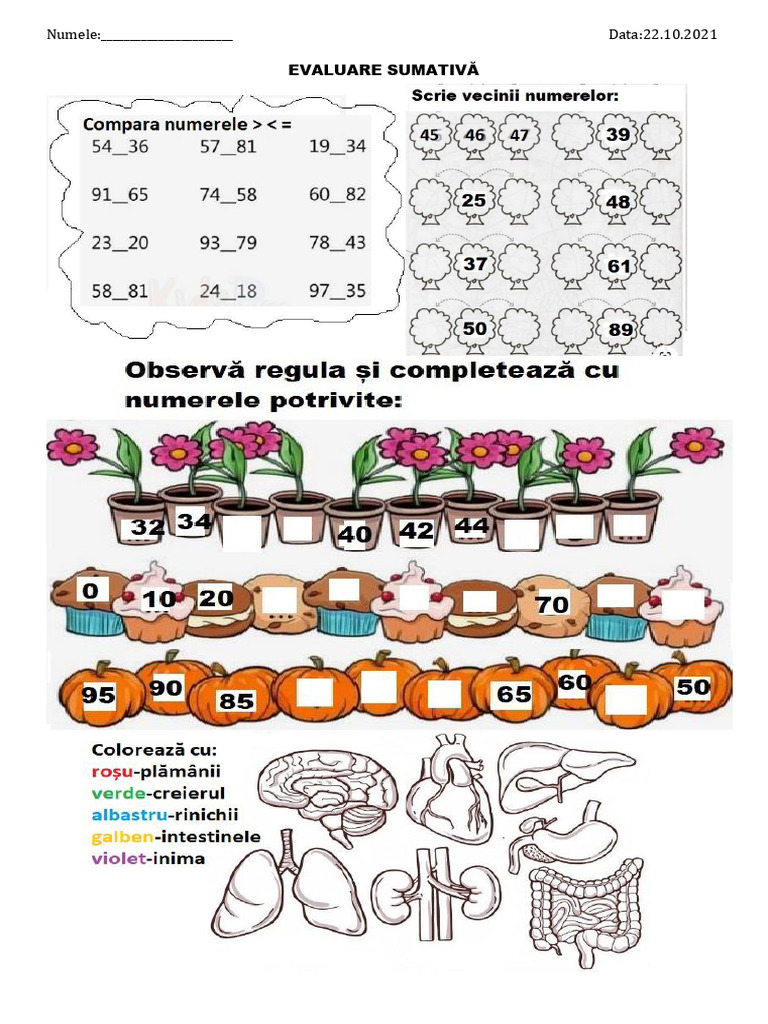 Evaluare Sumativa Mate | PDF