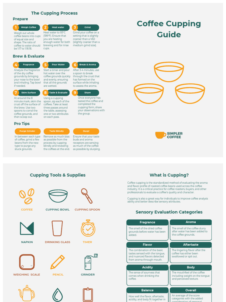 Coffee Cupping Process Guide | PDF | Coffee | Taste