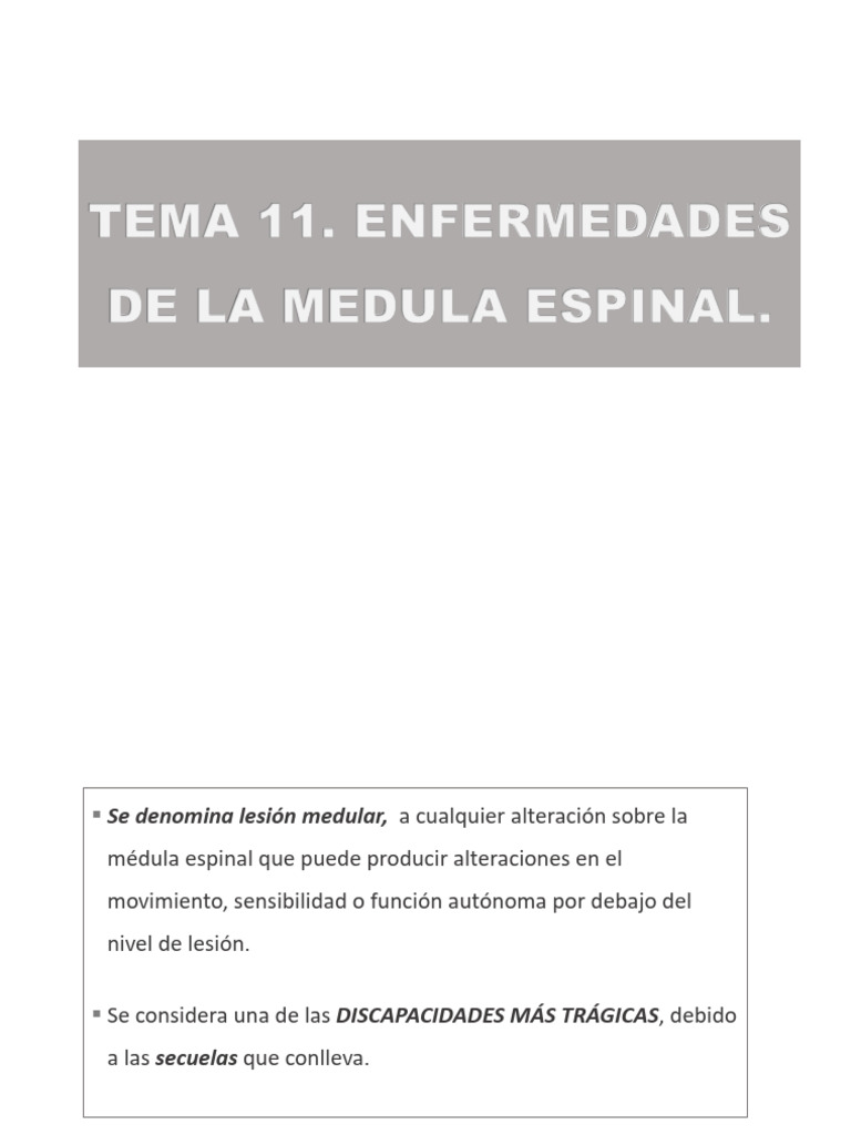 Tema 11. Enfermedades de La Medula Espinal | PDF