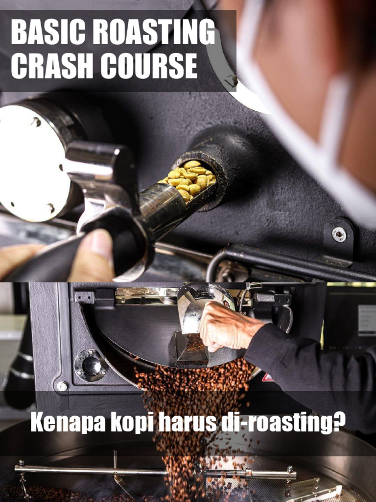 Basic Roasting | PDF